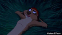 Timon GIFs - Get the best gif on GIFER