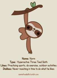 Sloths GIFs - Get the best gif on GIFER