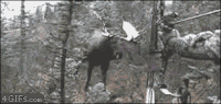 Hunting GIFs - Get the best gif on GIFER