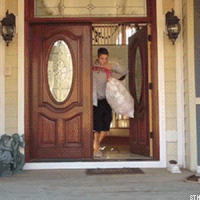 Vas GIFs - Get the best gif on GIFER