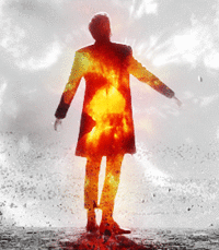 Cerdo riendo GIF - Conseguir o melhor gif em GIFER