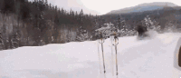 Dashing GIFs - Get the best gif on GIFER