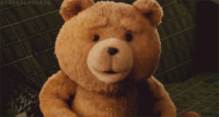 Ted GIFs - Get the best gif on GIFER