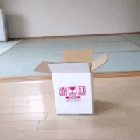 Empty box GIFs - Get the best gif on GIFER