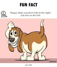 Facts GIFs - Get the best gif on GIFER