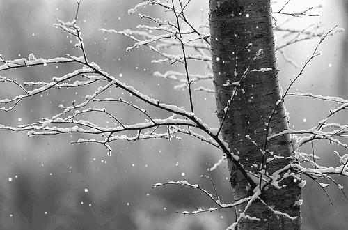 Nieve GIF - Conseguir el mejor gif en GIFER