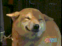 International GIFs - Get the best gif on GIFER