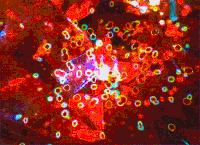 Interruptions гифки, анимированные GIF изображения interruptions ...