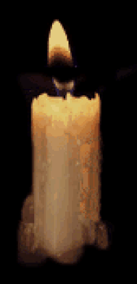 Candle GIFs - Get the best gif on GIFER