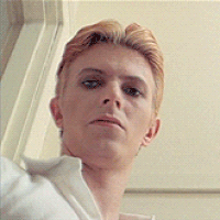 1970s GIFs - Get the best gif on GIFER