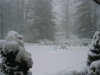 Blizzard GIFs - Get the best gif on GIFER