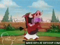 Pumba GIFs - Get the best gif on GIFER
