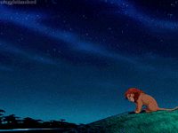 Simba GIFs - Get the best gif on GIFER