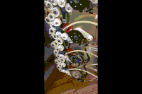 Automated GIFs - Get the best gif on GIFER