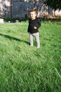 Pdx GIFs - Get the best gif on GIFER