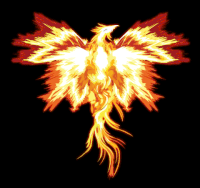 Phoenix GIFs - Get the best gif on GIFER
