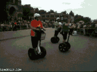 Chimpanzee Riding On A Segway Gif