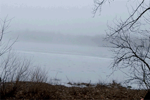 Jjcos GIFs - Get the best gif on GIFER