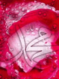 Hajj GIFs - Get the best gif on GIFER