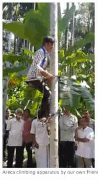 Produce GIFs - Get the best gif on GIFER