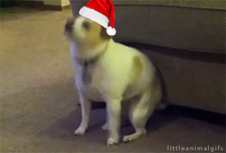 Santa hat GIFs - Obtenez le meilleur gif sur GIFER