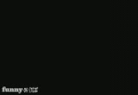 Archive GIFs - Get the best gif on GIFER