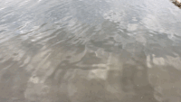 Dissolve GIFs - Get the best gif on GIFER