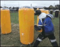 Knockout GIFs - Get the best gif on GIFER