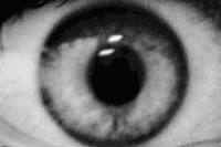 Drug GIFs - Get the best gif on GIFER