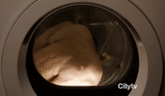 Dryers GIFs - Get the best gif on GIFER