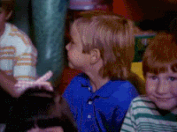 Cobweb GIFs - Get the best gif on GIFER
