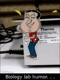 Giggity GIFs - Get the best gif on GIFER