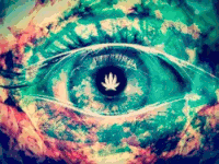 Marijuana GIFs - Get the best gif on GIFER