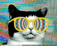 Litter GIFs - Get the best gif on GIFER
