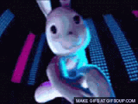 Rabbits GIFs - Get the best gif on GIFER