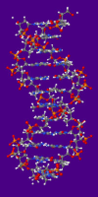 Adn GIFs - Get the best gif on GIFER