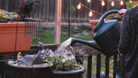 Watering GIFs - Get the best gif on GIFER