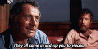 Jaws GIFs - Get the best gif on GIFER