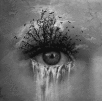Eyelash GIFs - Get the best gif on GIFER