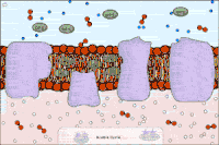 Diffusion GIFs - Get the best gif on GIFER