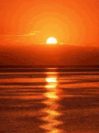 Orange GIFs - Get the best gif on GIFER