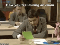 Exam GIFs - Get the best gif on GIFER