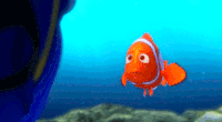 Nemo GIFs - Get the best gif on GIFER