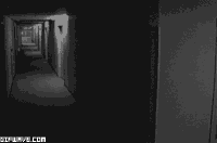 Corridor GIFs - Get the best gif on GIFER