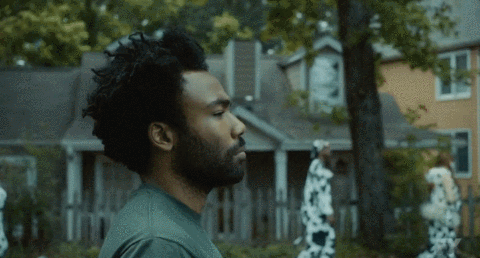 Free chicken sandwich day GIF - Conseguir o melhor gif em GIFER