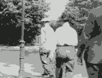 Cartografia GIF - Conseguir o melhor gif em GIFER