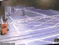 Wipeout GIFs - Get the best gif on GIFER