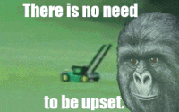 Pssst GIFs - Get the best gif on GIFER