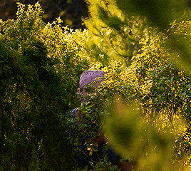 Wet hot american summer GIFs - Get the best gif on GIFER