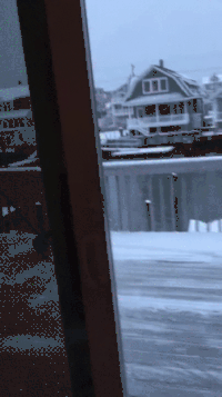 Hoverplow GIFs - Get the best gif on GIFER